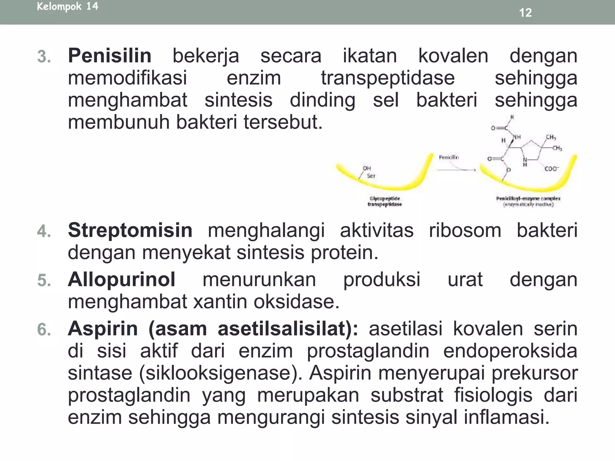 PPT ENZIM, KOENZIM, KOFACTOR ENZIM DAN LOGAN, INHIBITOR ENZIM DAN | PPTX