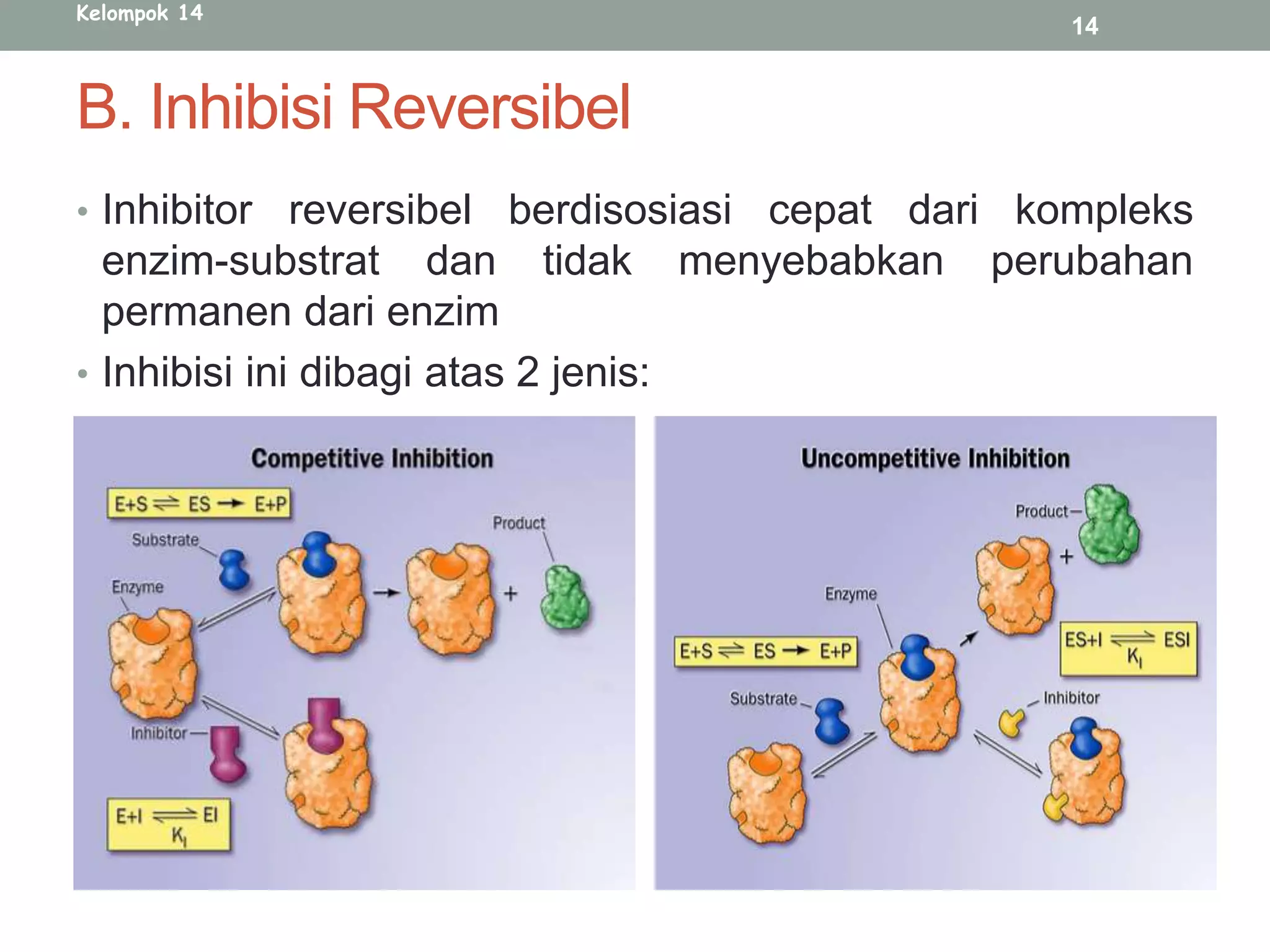PPT ENZIM, KOENZIM, KOFACTOR ENZIM DAN LOGAN, INHIBITOR ENZIM DAN | PPTX