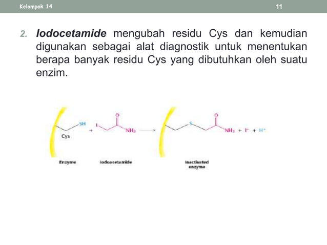 PPT ENZIM, KOENZIM, KOFACTOR ENZIM DAN LOGAN, INHIBITOR ENZIM DAN | PPTX