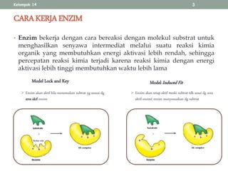 PPT ENZIM, KOENZIM, KOFACTOR ENZIM DAN LOGAN, INHIBITOR ENZIM DAN | PPTX