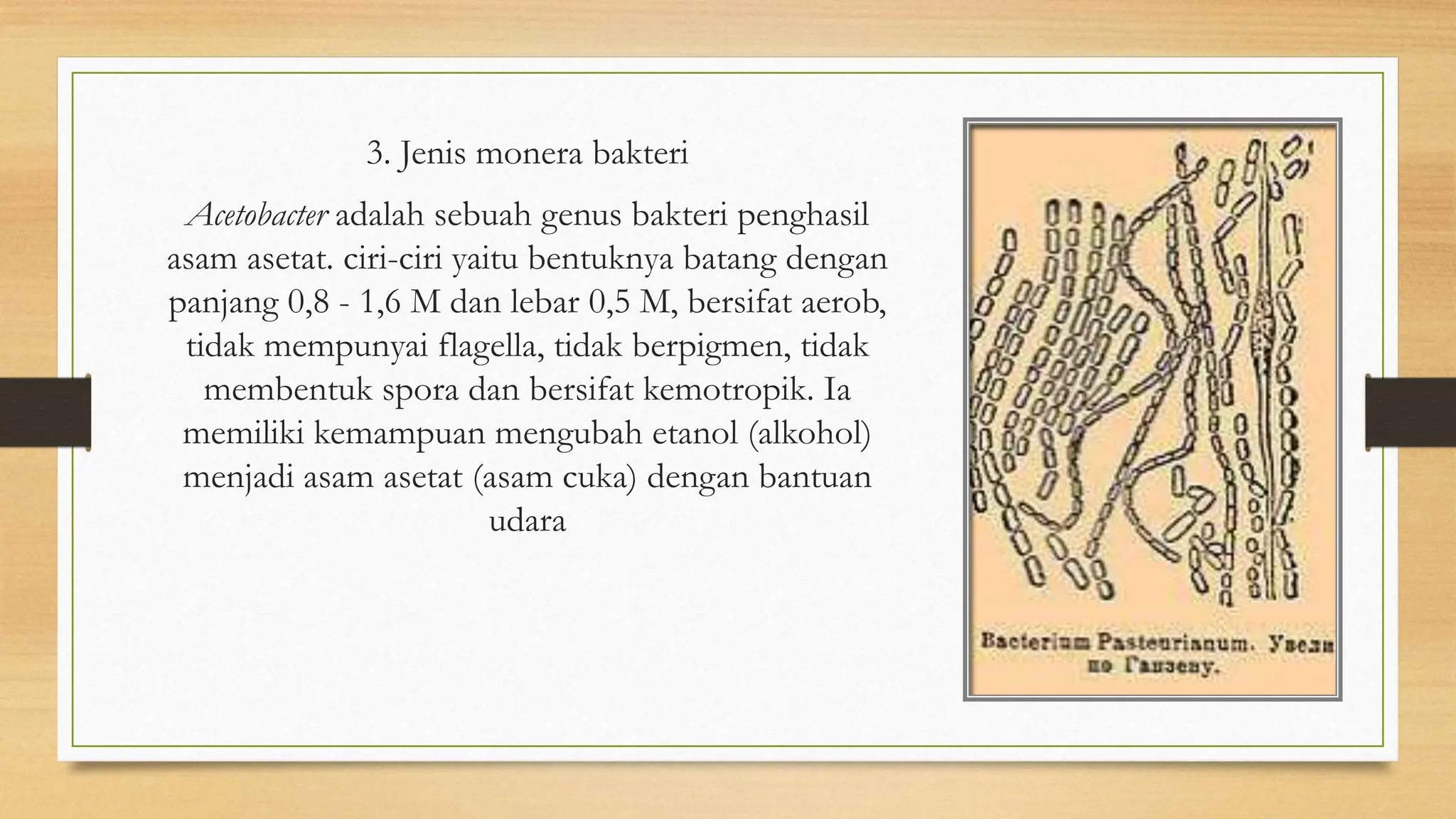 Kelompok 1 [Autosaved].pptx