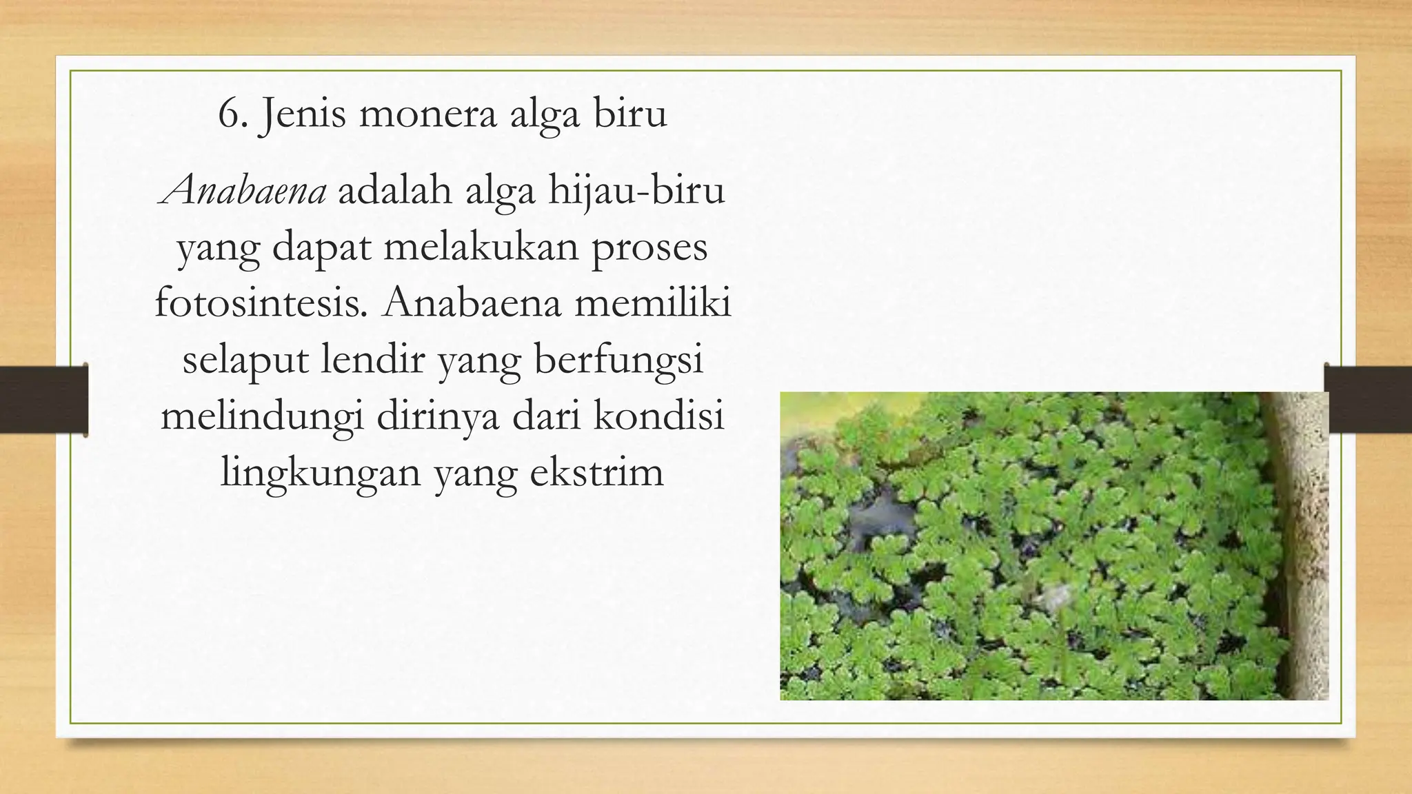 Kelompok 1 [Autosaved].pptx