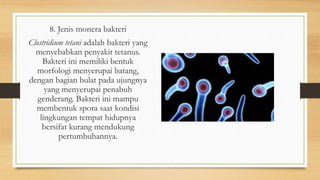 Kelompok 1 [Autosaved].pptx