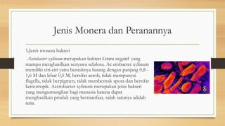 Kelompok 1 [Autosaved].pptx