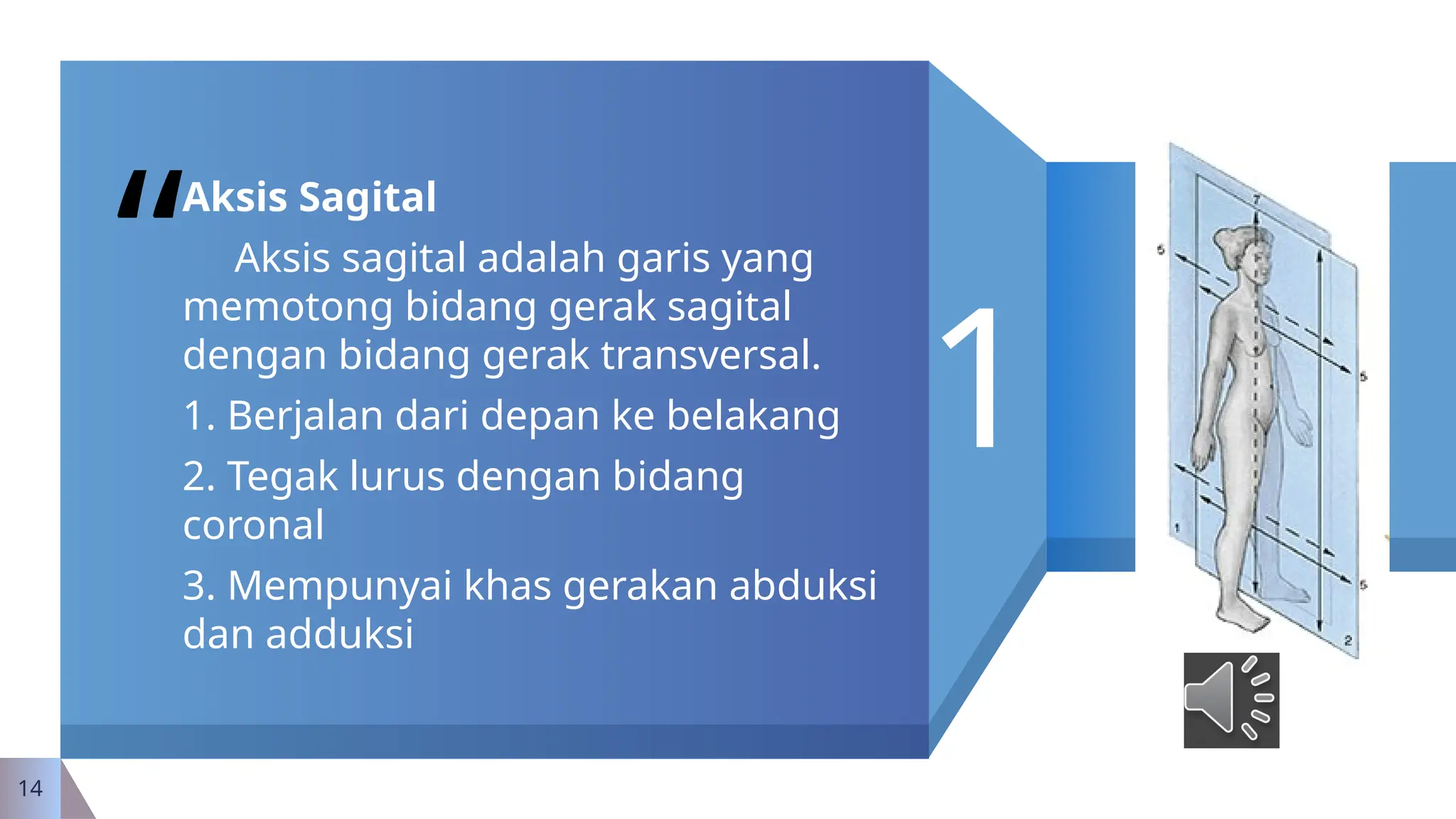 KELOMPOK 1_B_BIDANG SUMBU TUBUH MANUSIA.pptx