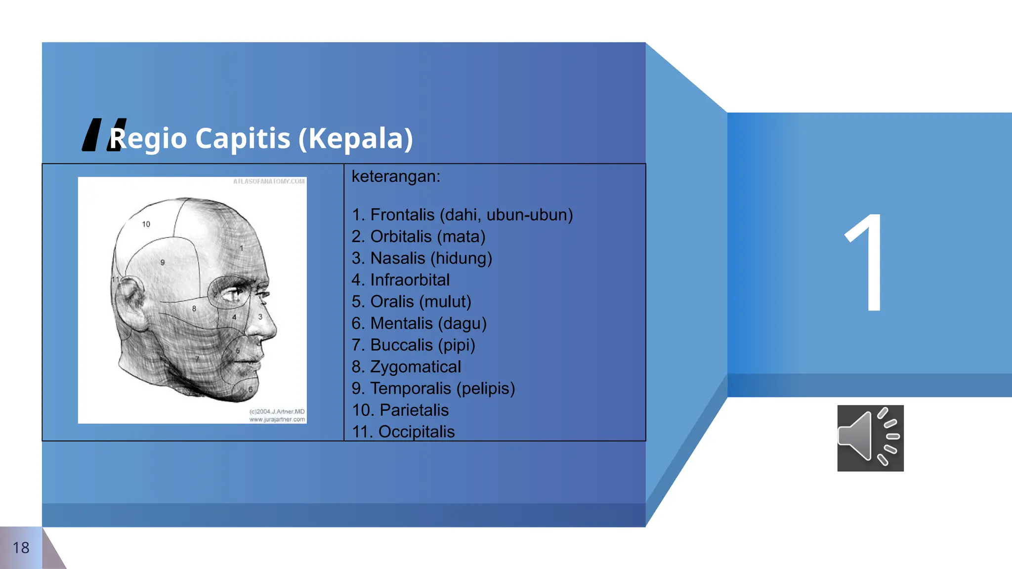 KELOMPOK 1_B_BIDANG SUMBU TUBUH MANUSIA.pptx