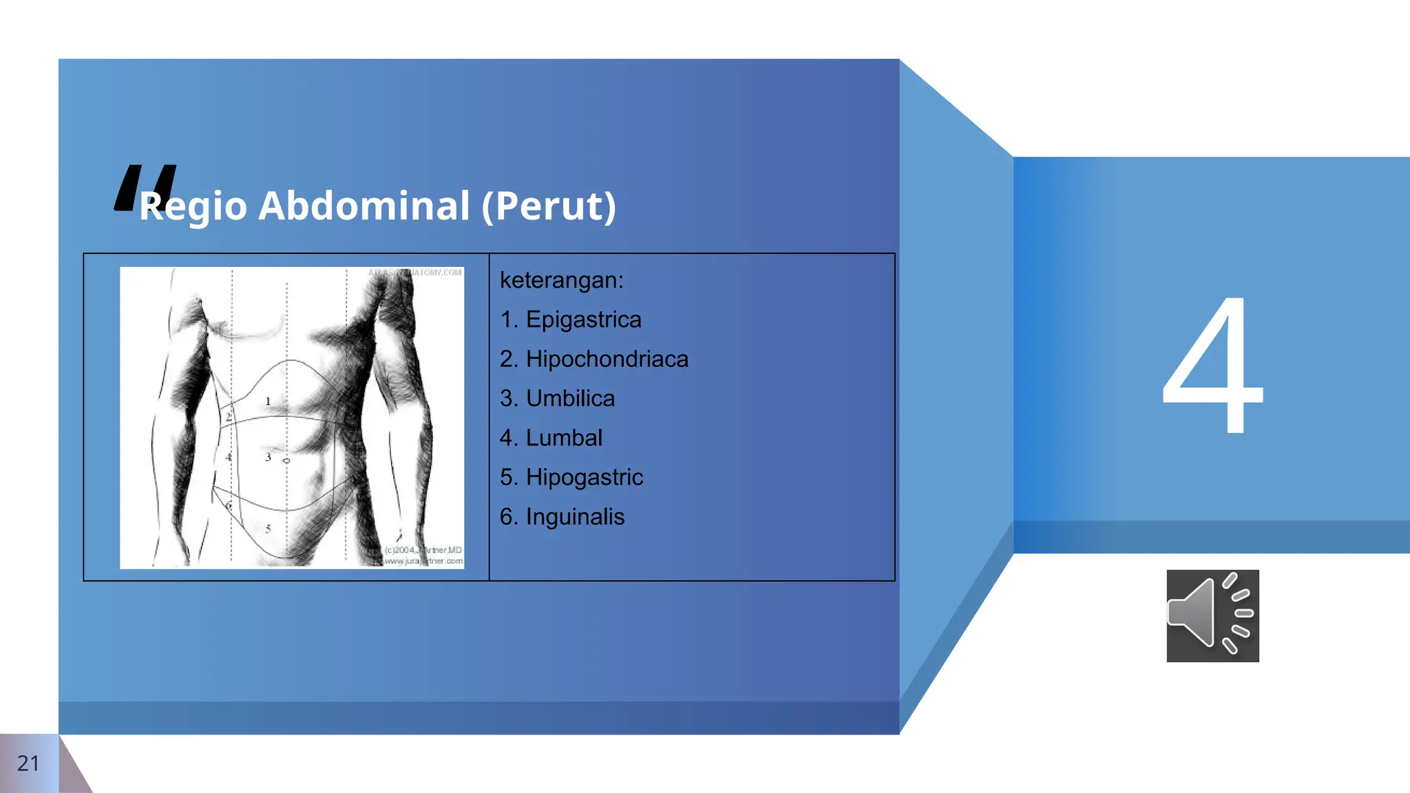 KELOMPOK 1_B_BIDANG SUMBU TUBUH MANUSIA.pptx