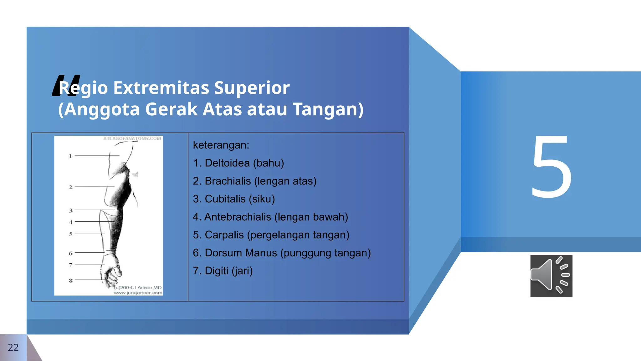 KELOMPOK 1_B_BIDANG SUMBU TUBUH MANUSIA.pptx
