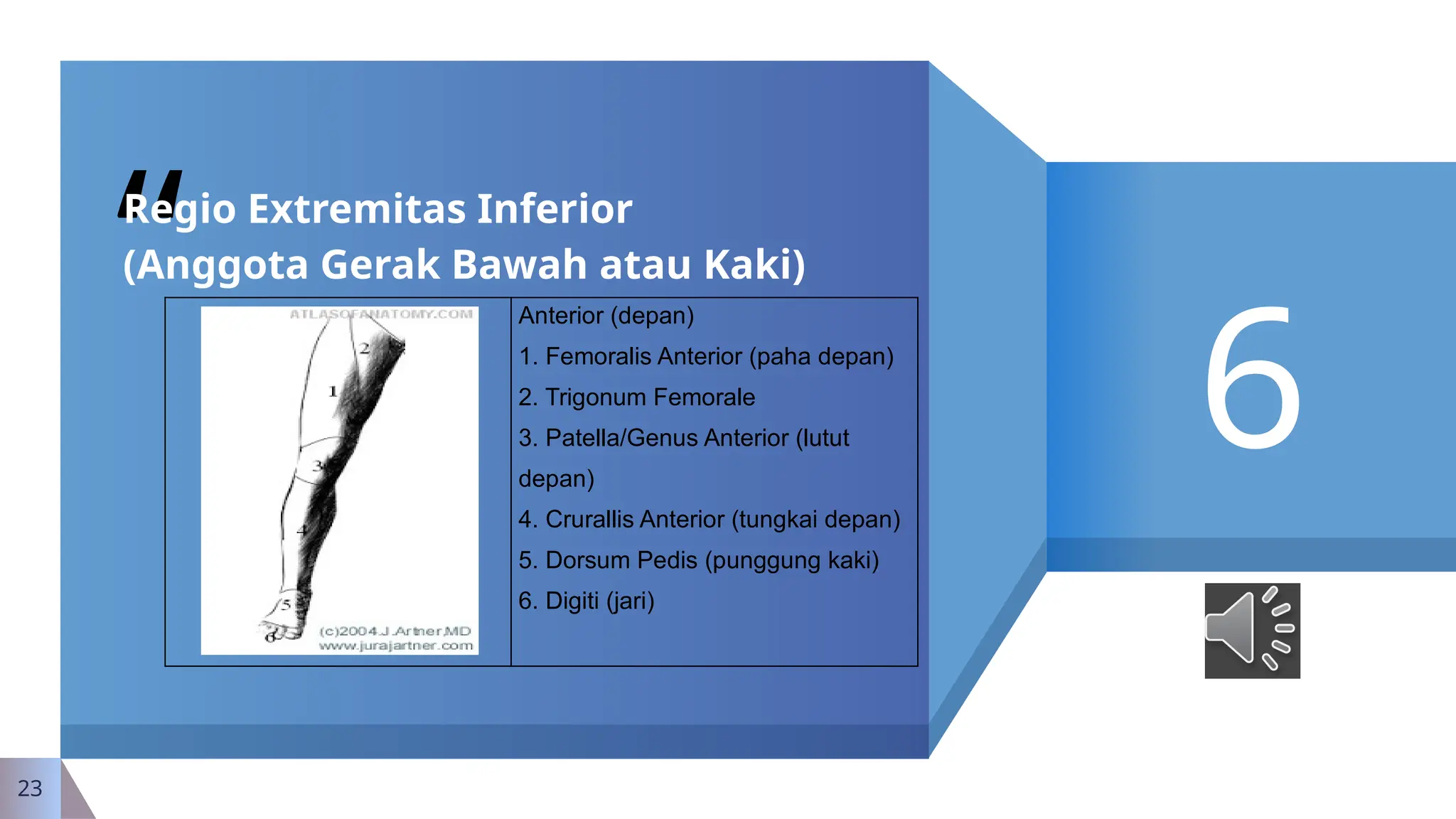 KELOMPOK 1_B_BIDANG SUMBU TUBUH MANUSIA.pptx