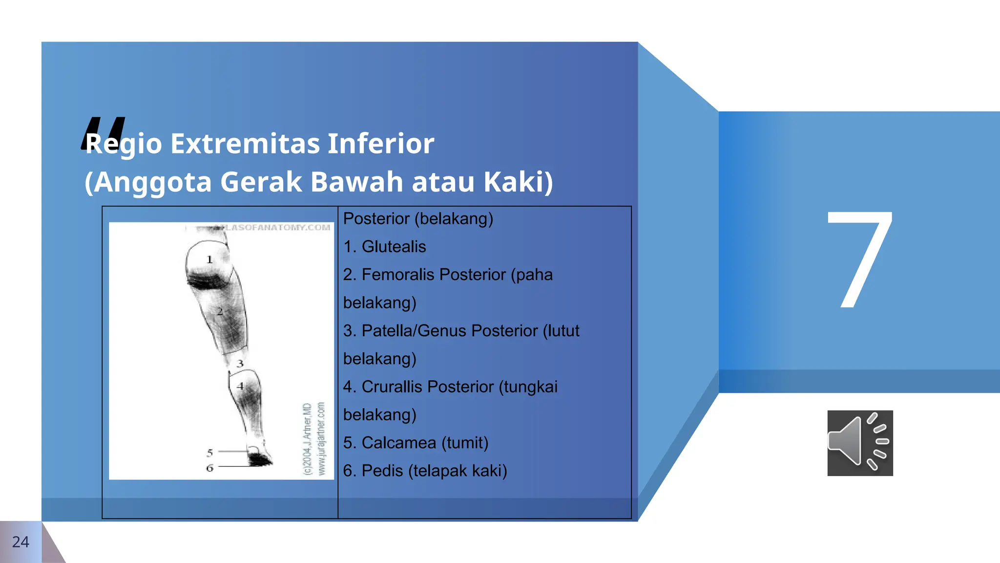 KELOMPOK 1_B_BIDANG SUMBU TUBUH MANUSIA.pptx