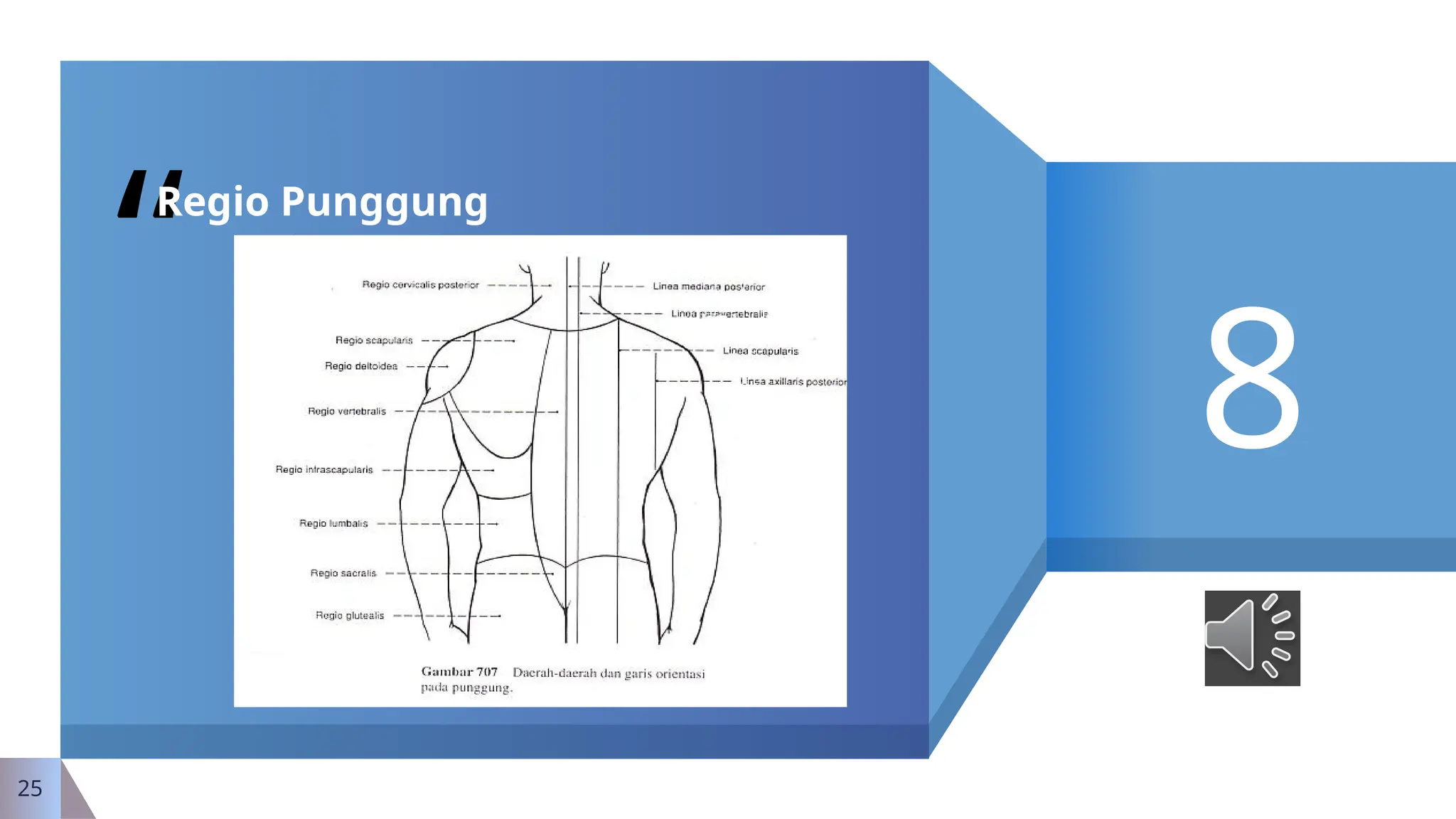 KELOMPOK 1_B_BIDANG SUMBU TUBUH MANUSIA.pptx