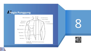 KELOMPOK 1_B_BIDANG SUMBU TUBUH MANUSIA.pptx