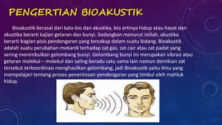 Bioakustik | PPTX
