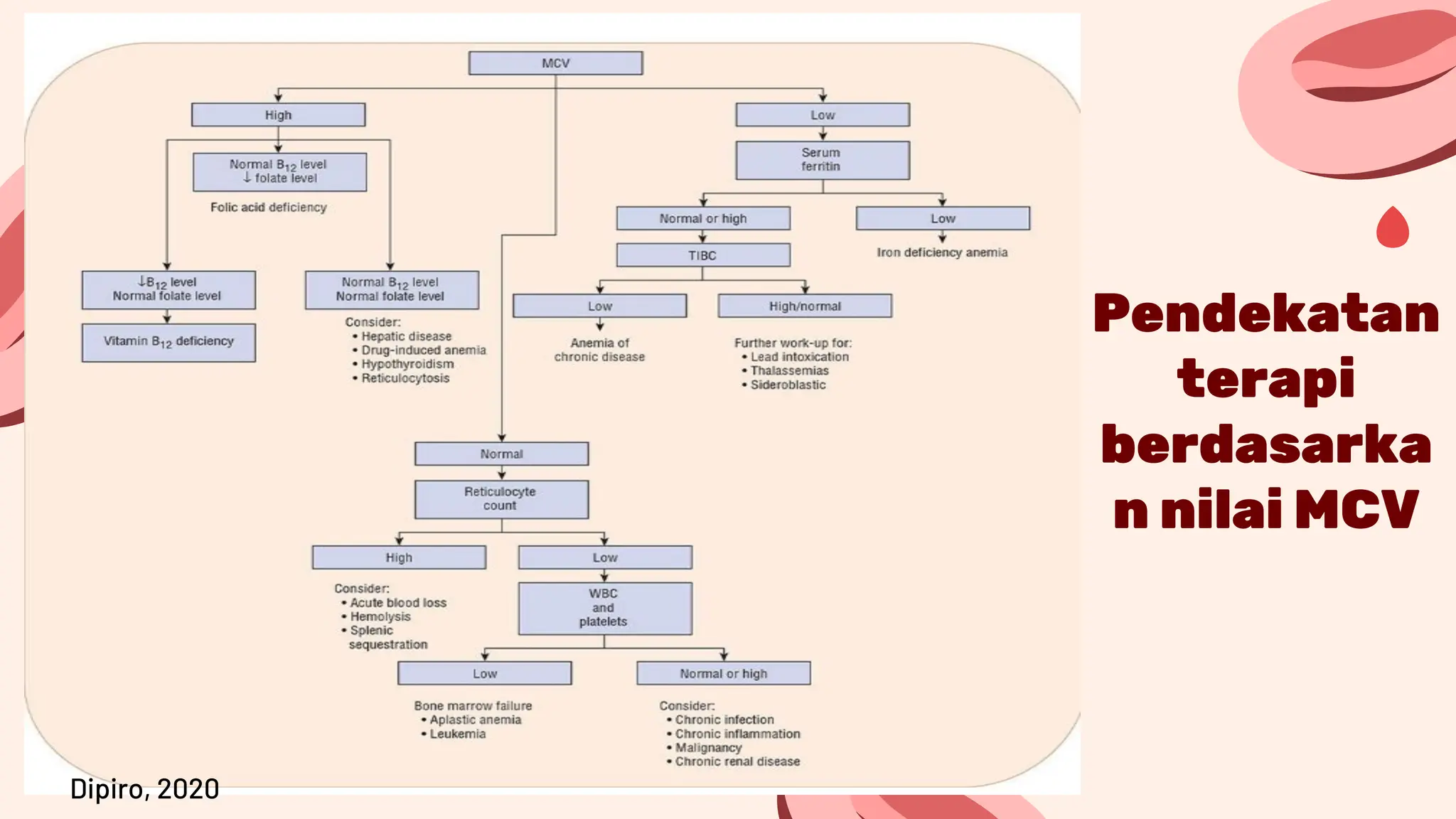 Pharmacotherapy: Drug for Anemia (Obat-obatan Anemia) | PPT