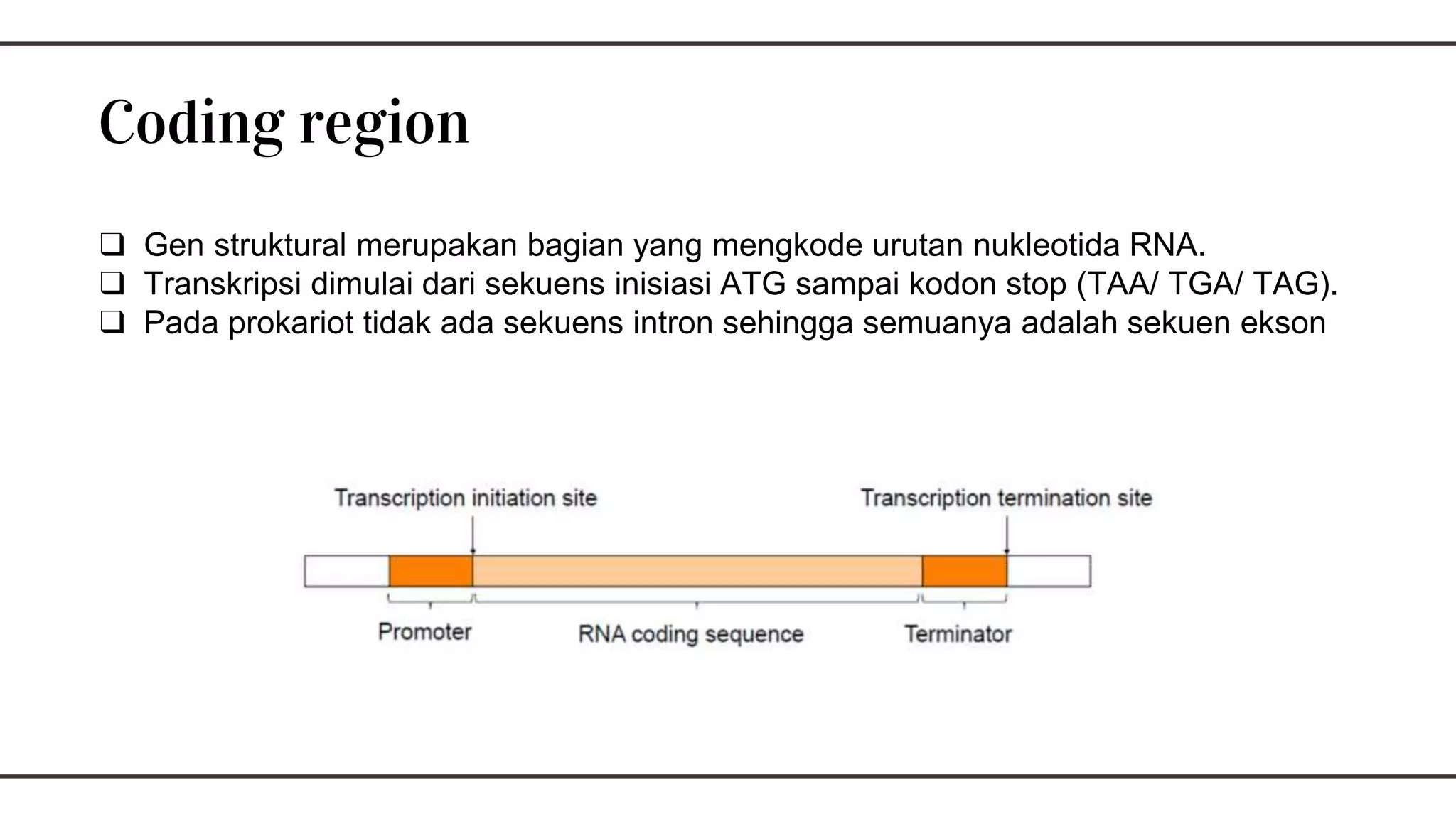 Kelompok 1_Ekspresi Gen Pada Prokariotik.pptx