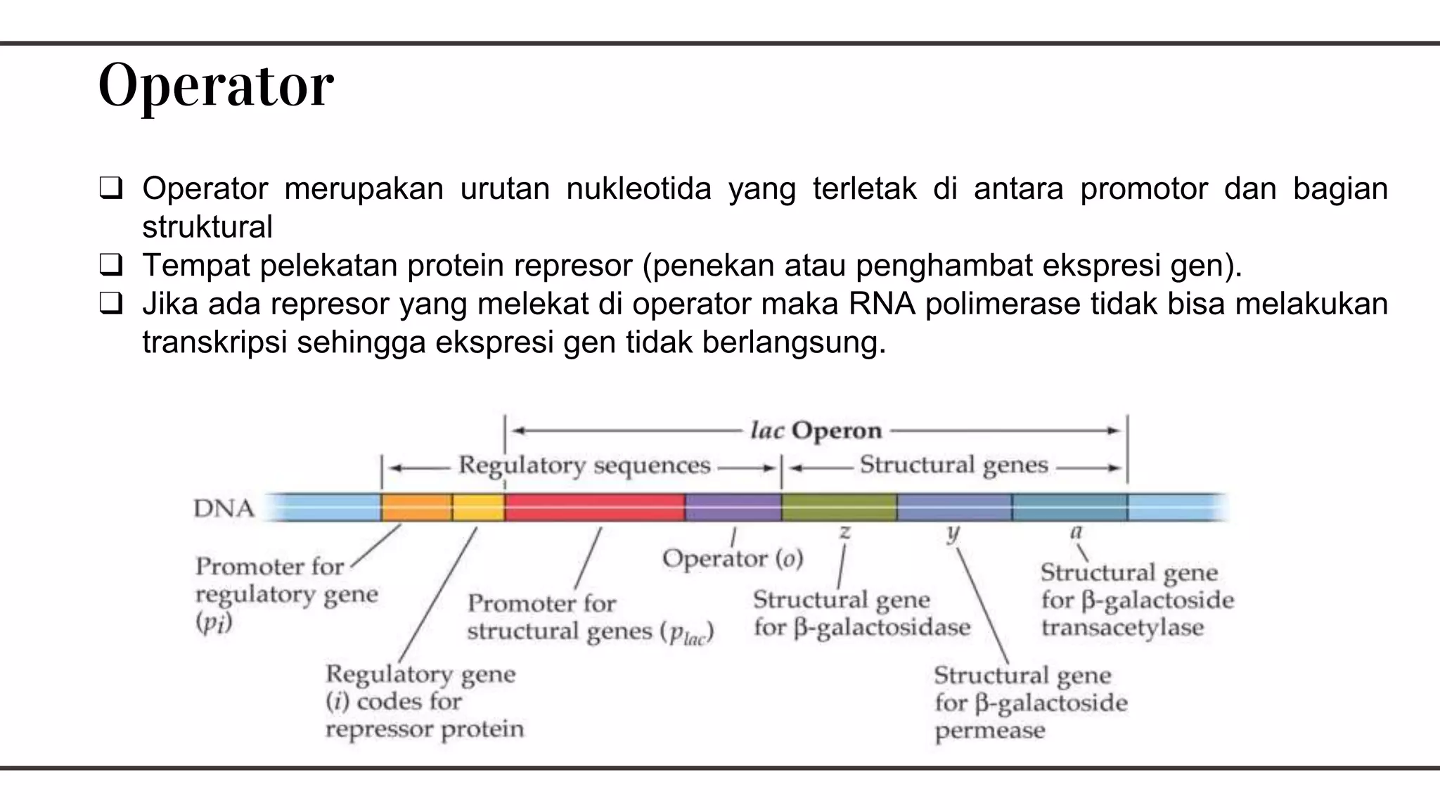 Kelompok 1_Ekspresi Gen Pada Prokariotik.pptx