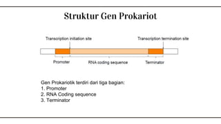 Kelompok 1_Ekspresi Gen Pada Prokariotik.pptx