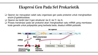 Kelompok 1_Ekspresi Gen Pada Prokariotik.pptx