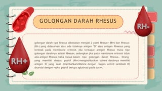 kelompok pemeriksaan golongan darah bumil | PPT