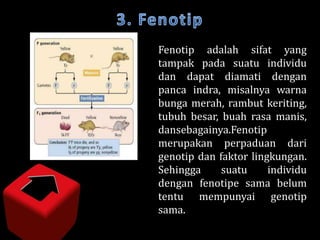 GENETIKA KELAS 9 SMP | PPTX