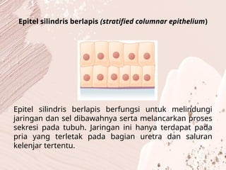 JARINGAN EPITEL(struktur dan fungsi dalam tubuh manusia).pptx