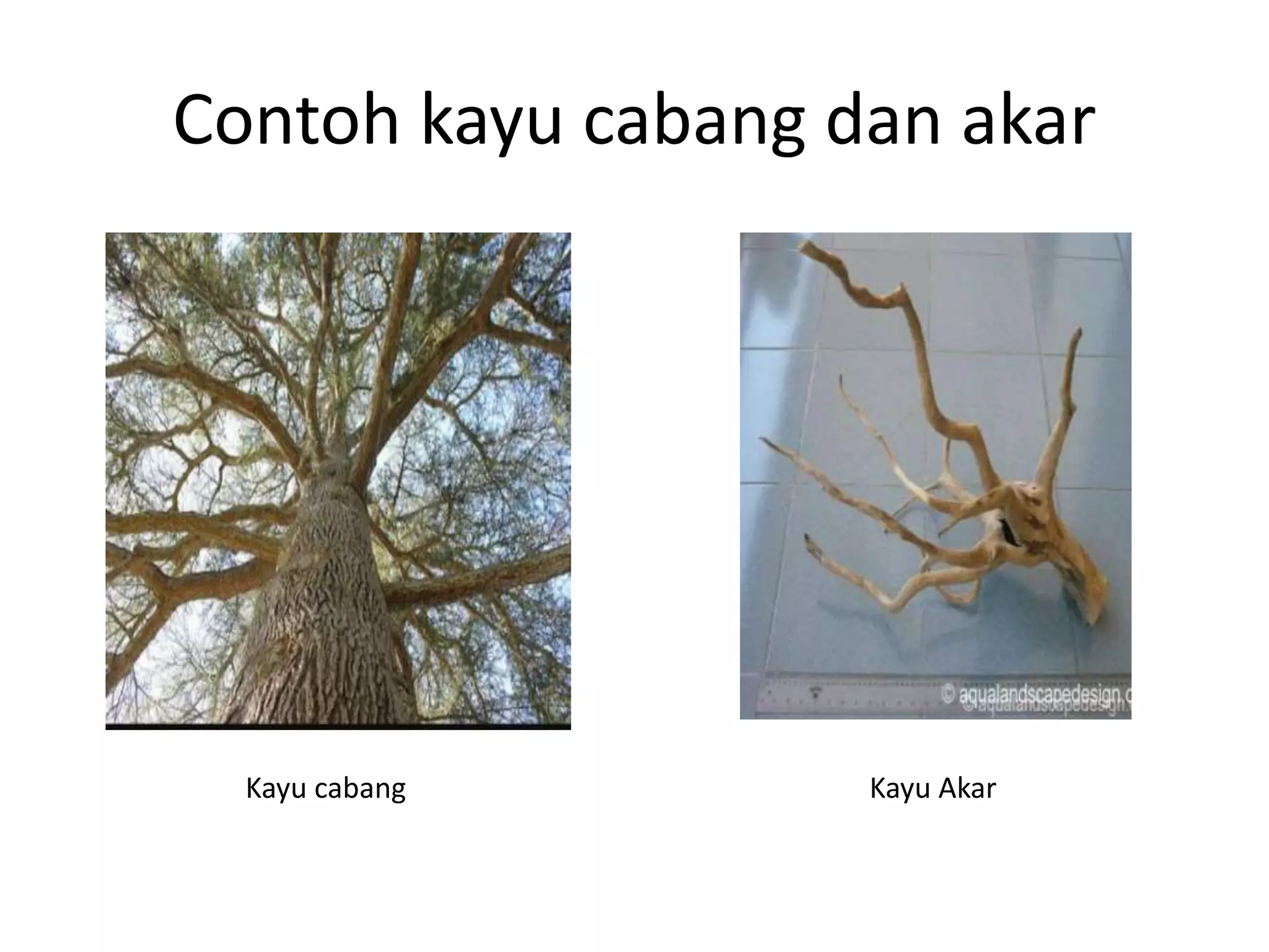 Kelompok 1 struktur kayu | PPT