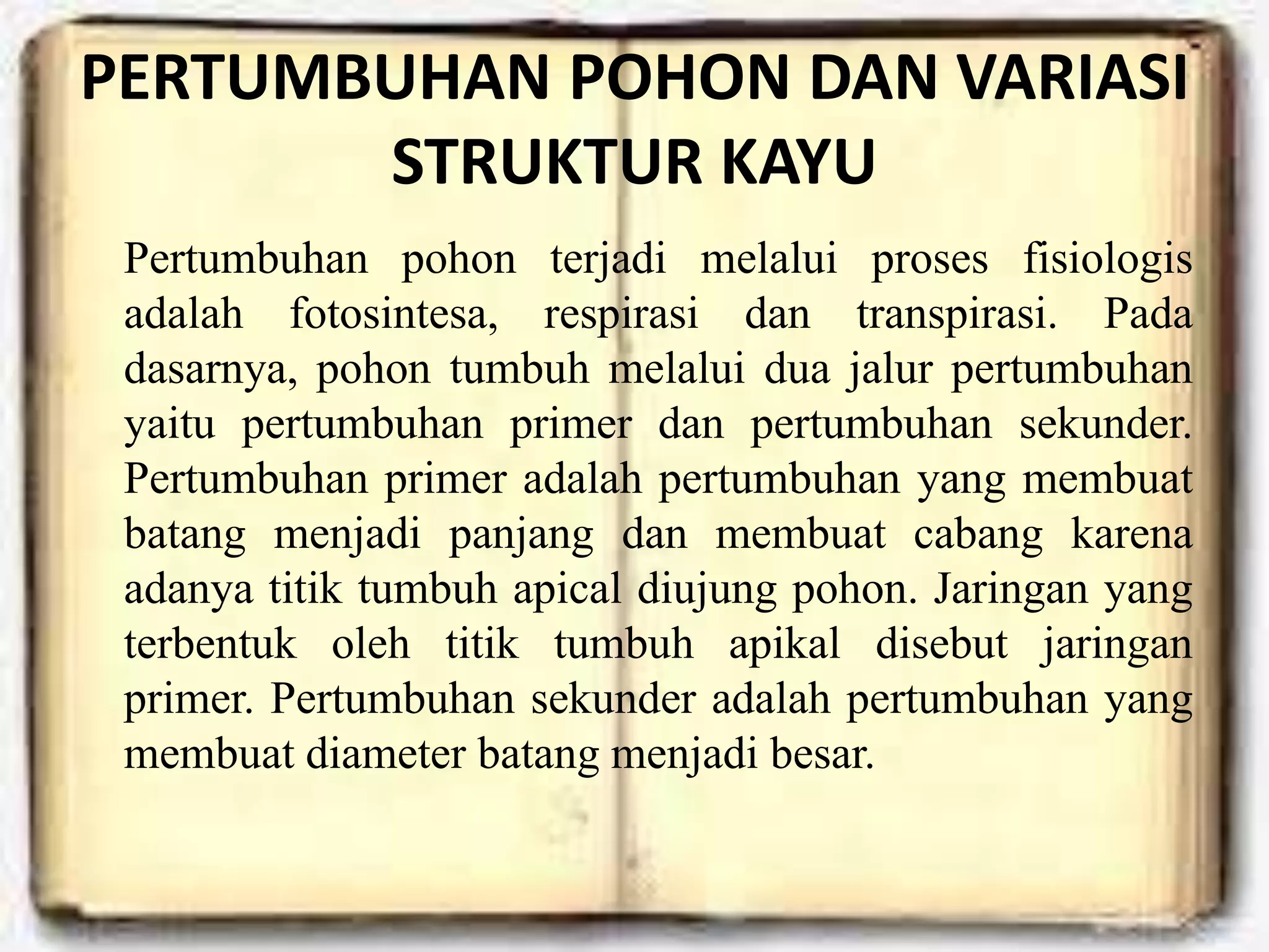 Kelompok 1 struktur kayu | PPT