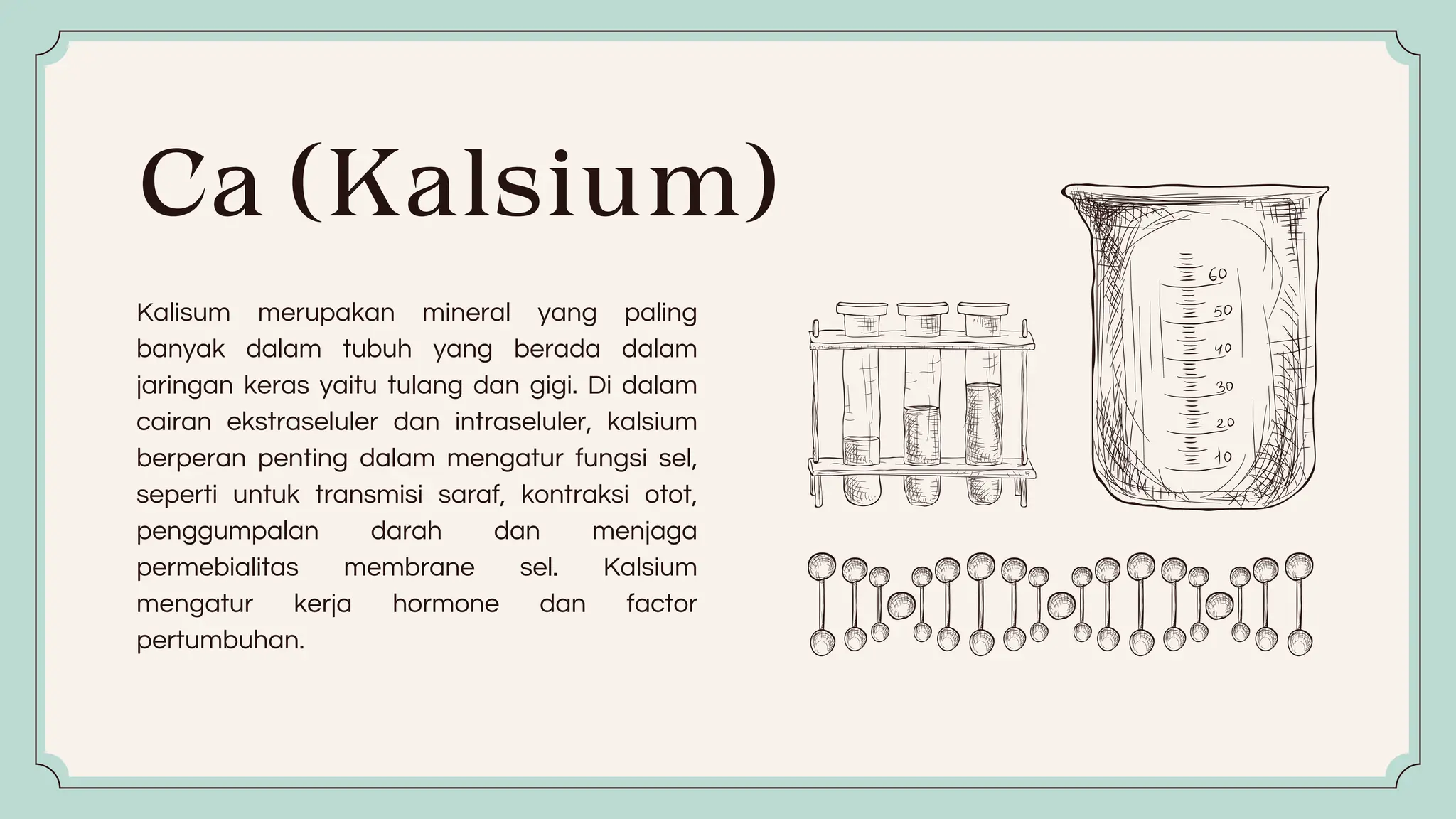 Metabolisme Gizi Mikro (Kalsium dan Fosfor) | PDF