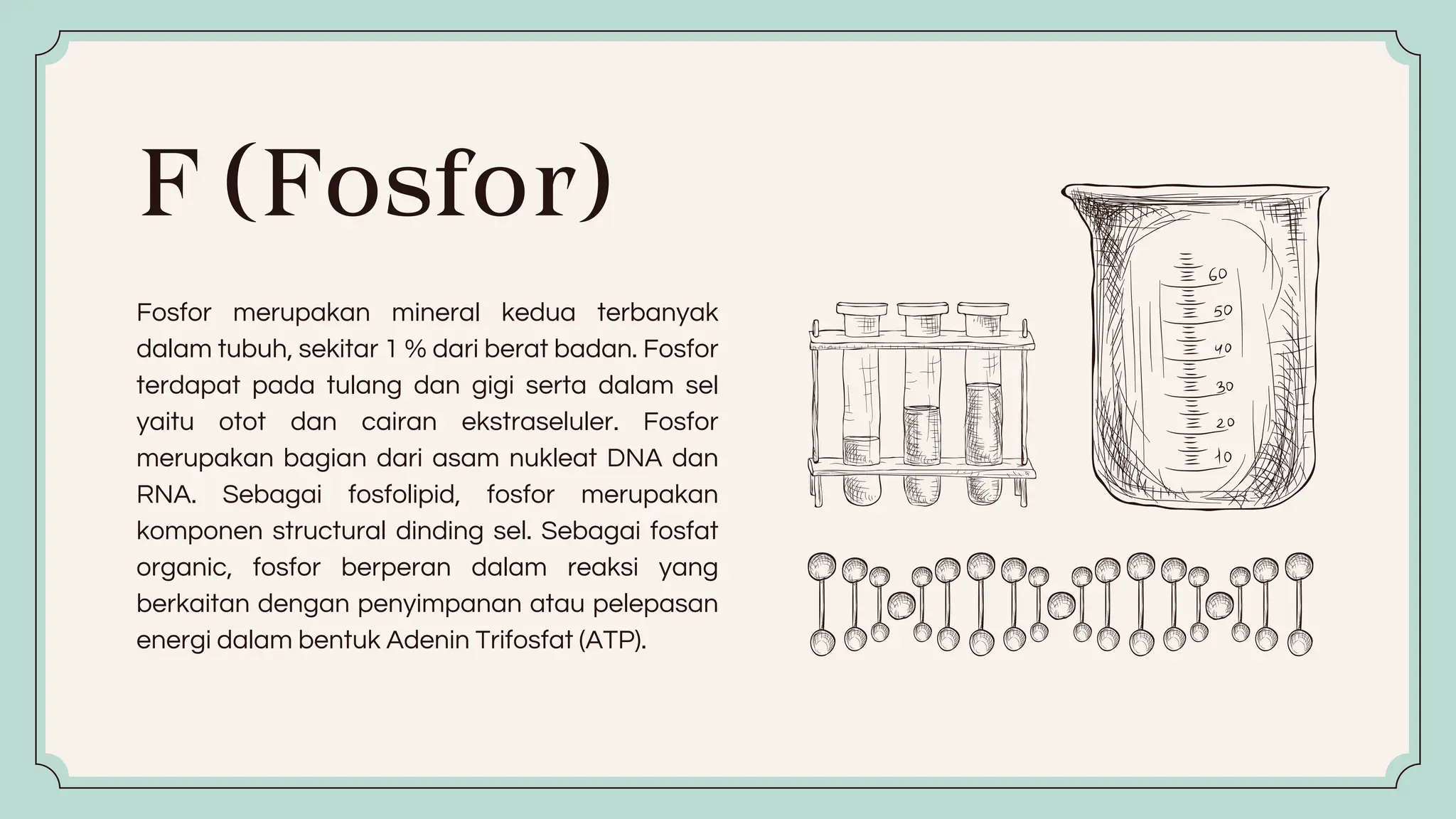 Metabolisme Gizi Mikro (Kalsium dan Fosfor) | PDF