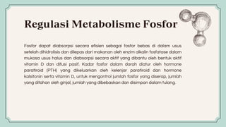 Metabolisme Gizi Mikro (Kalsium dan Fosfor) | PDF