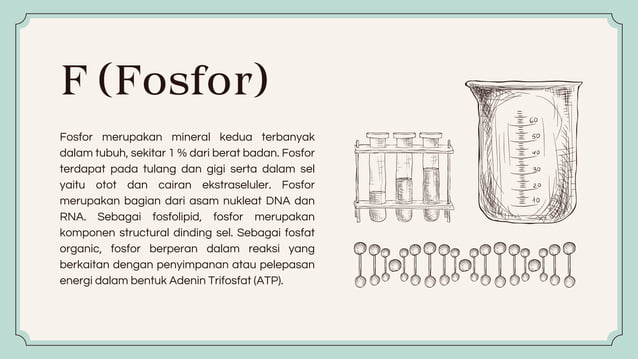Metabolisme Gizi Mikro (Kalsium dan Fosfor) | PDF