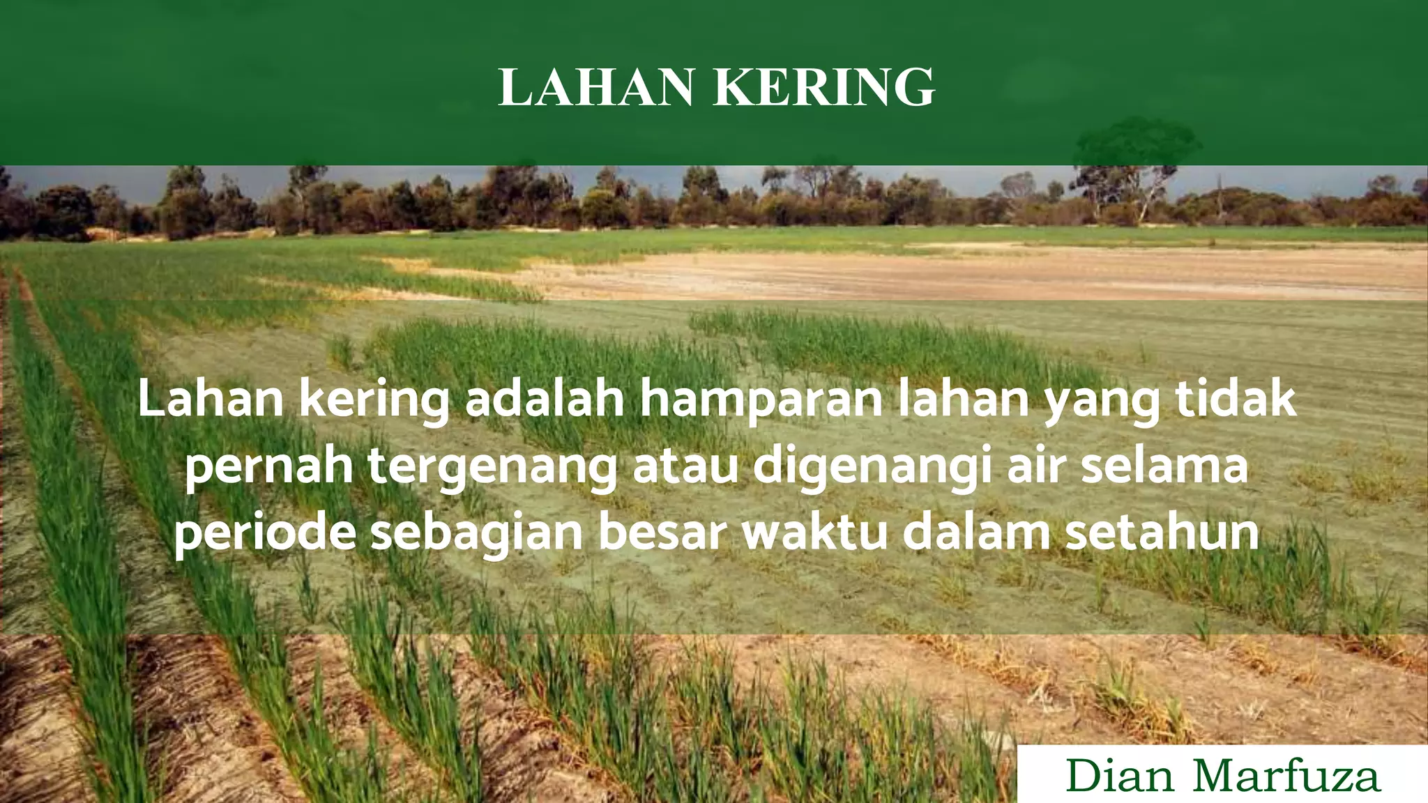 Kelompok 1_Lahan Kering_SPT-01.pptx