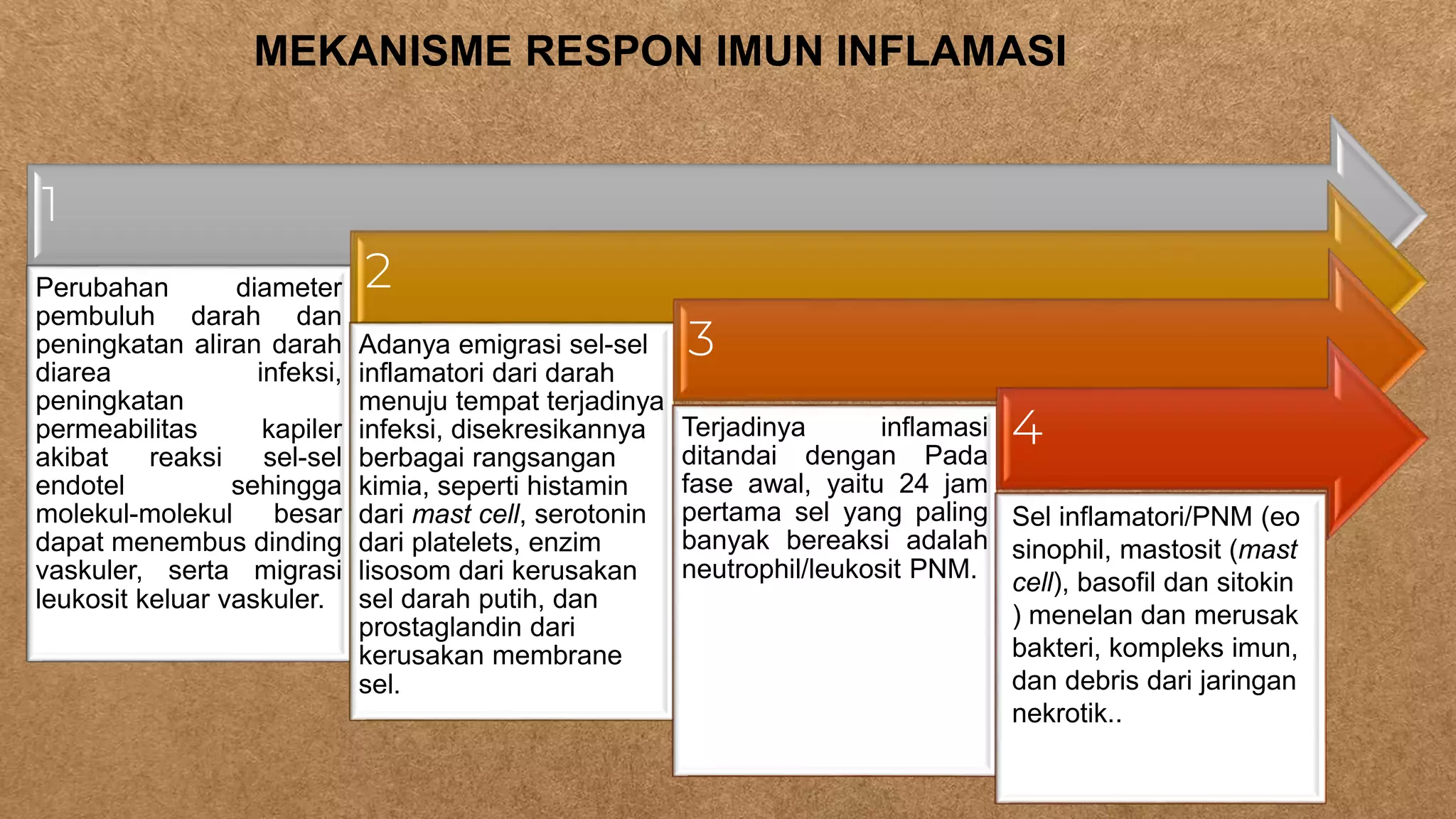 Mekanisme Respon Imun Inflamasi | PPTX