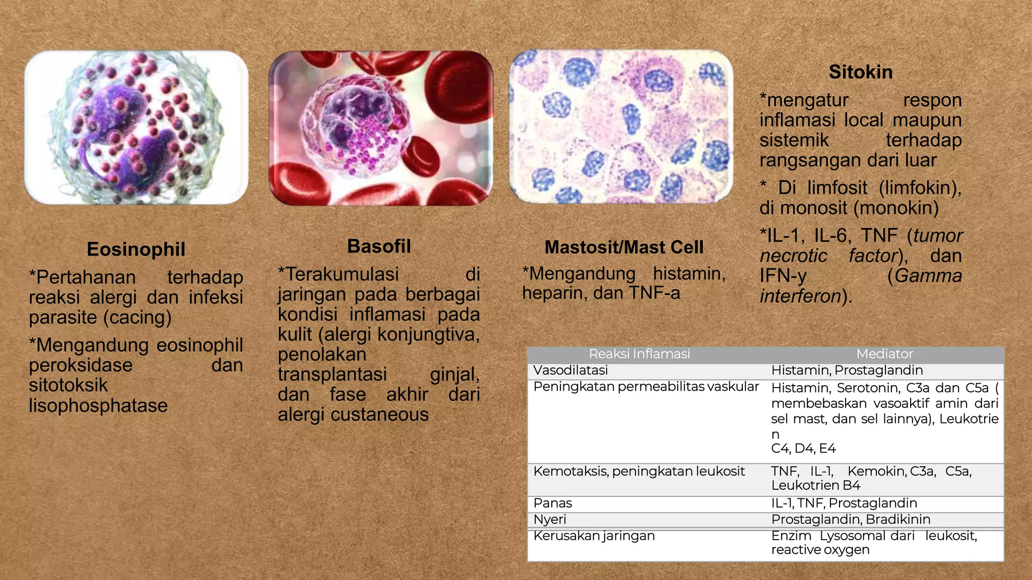 Mekanisme Respon Imun Inflamasi | PPTX