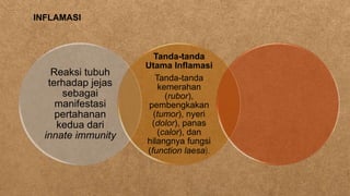 Mekanisme Respon Imun Inflamasi | PPTX