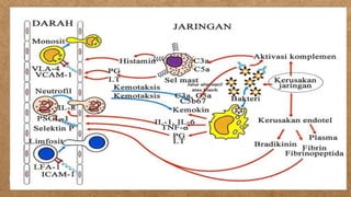 Mekanisme Respon Imun Inflamasi | PPTX