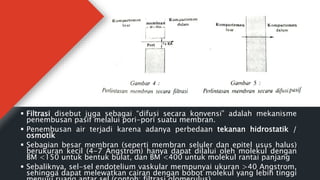 Kelompok 1 membran biologis dan mekanisme transport obat | PPTX