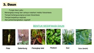 Kelompok 1_Organ dan Sistem Organ Tubuh Mahluk Hidup (1).pptx