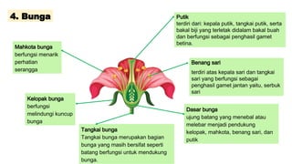 Kelompok 1_Organ dan Sistem Organ Tubuh Mahluk Hidup (1).pptx