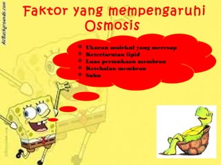 Kelompok 1 osmosis, difusi dan imbibisi | PPT