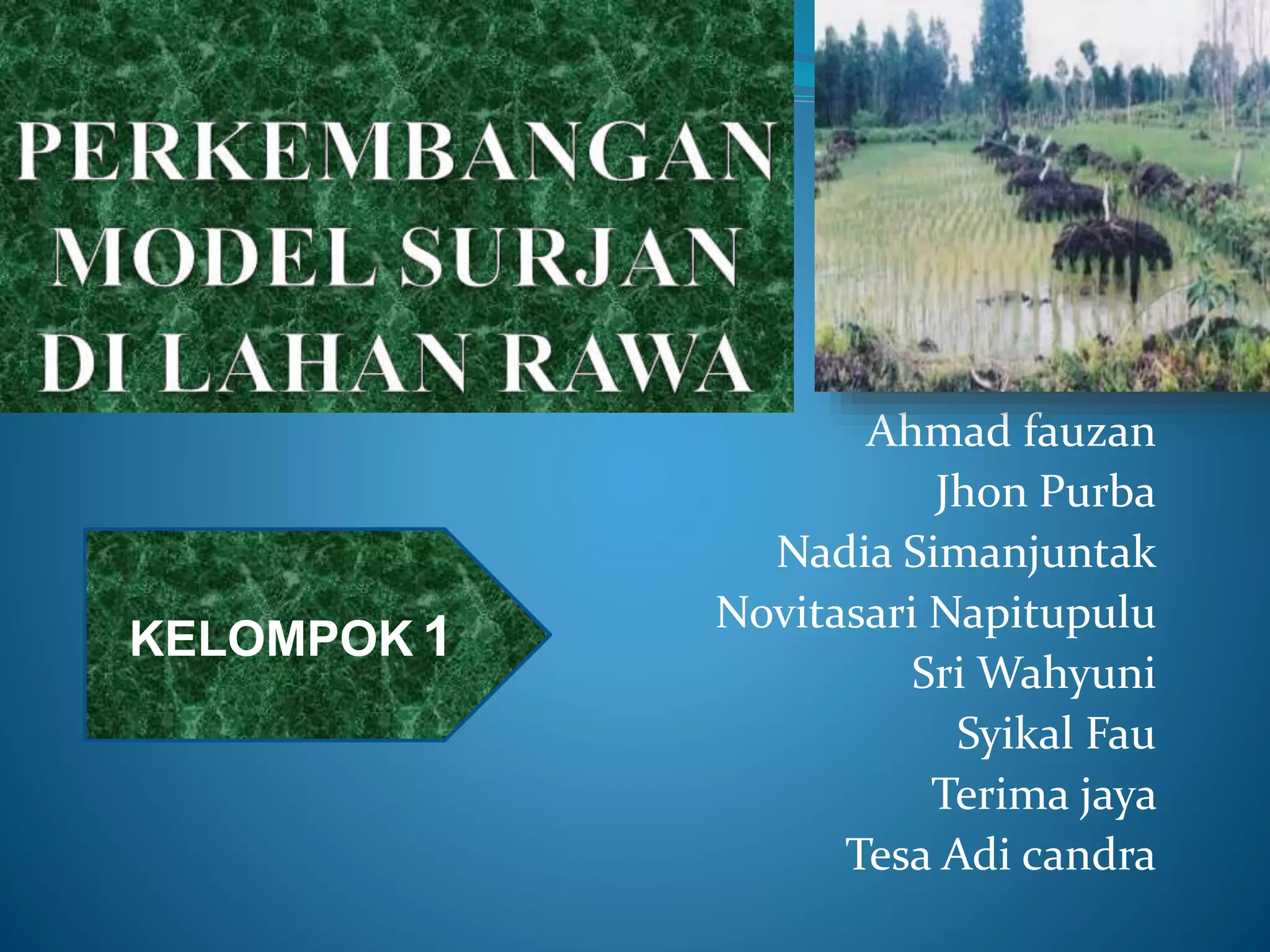 Kelompok 1 : Perkembangan Model Surjan di Lahan Rawa | PPTX
