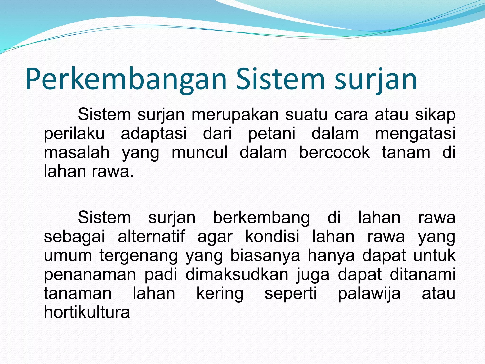 Kelompok 1 : Perkembangan Model Surjan di Lahan Rawa | PPTX