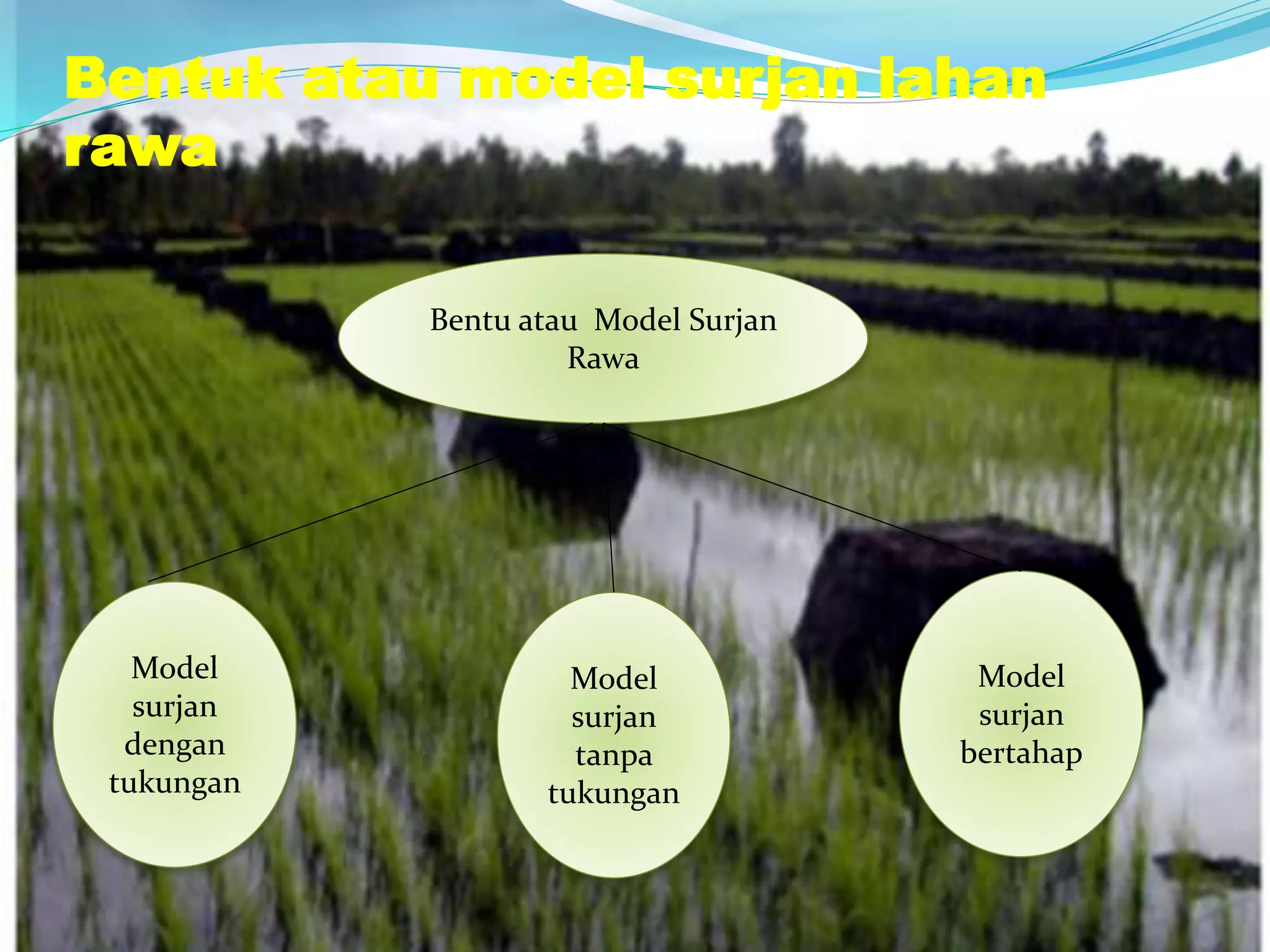 Kelompok 1 : Perkembangan Model Surjan di Lahan Rawa | PPTX