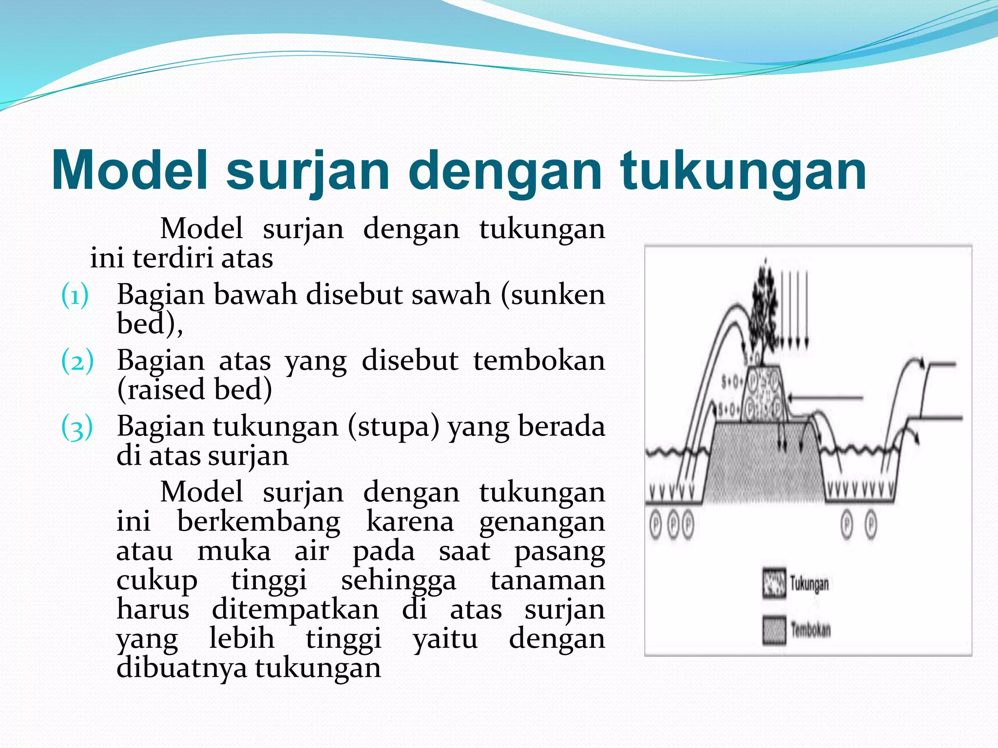 Kelompok 1 : Perkembangan Model Surjan di Lahan Rawa | PPTX