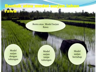 Kelompok 1 : Perkembangan Model Surjan di Lahan Rawa | PPTX