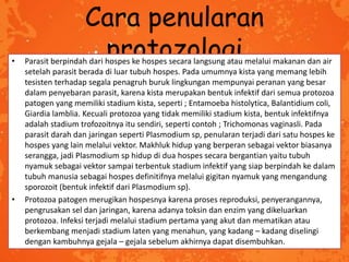 Kelompok 1 parasitologi OKE.pptx