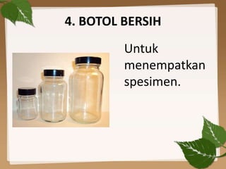 Kelompok 1 (pemeriksaan diagnostik) | PPTX
