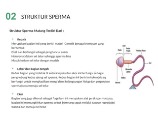 KELOMPOK 1 PEMERIKSAAN FERTILISASI PADA PRIA (ANALISIS SEMEN).pptx