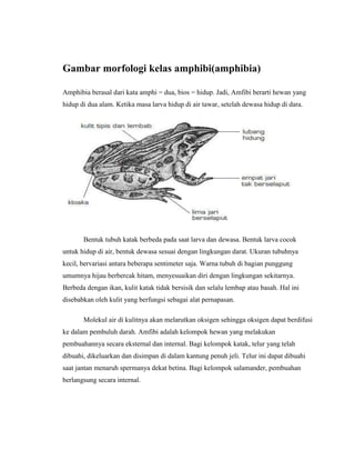Kelompok 1 phylum chordata | DOCX