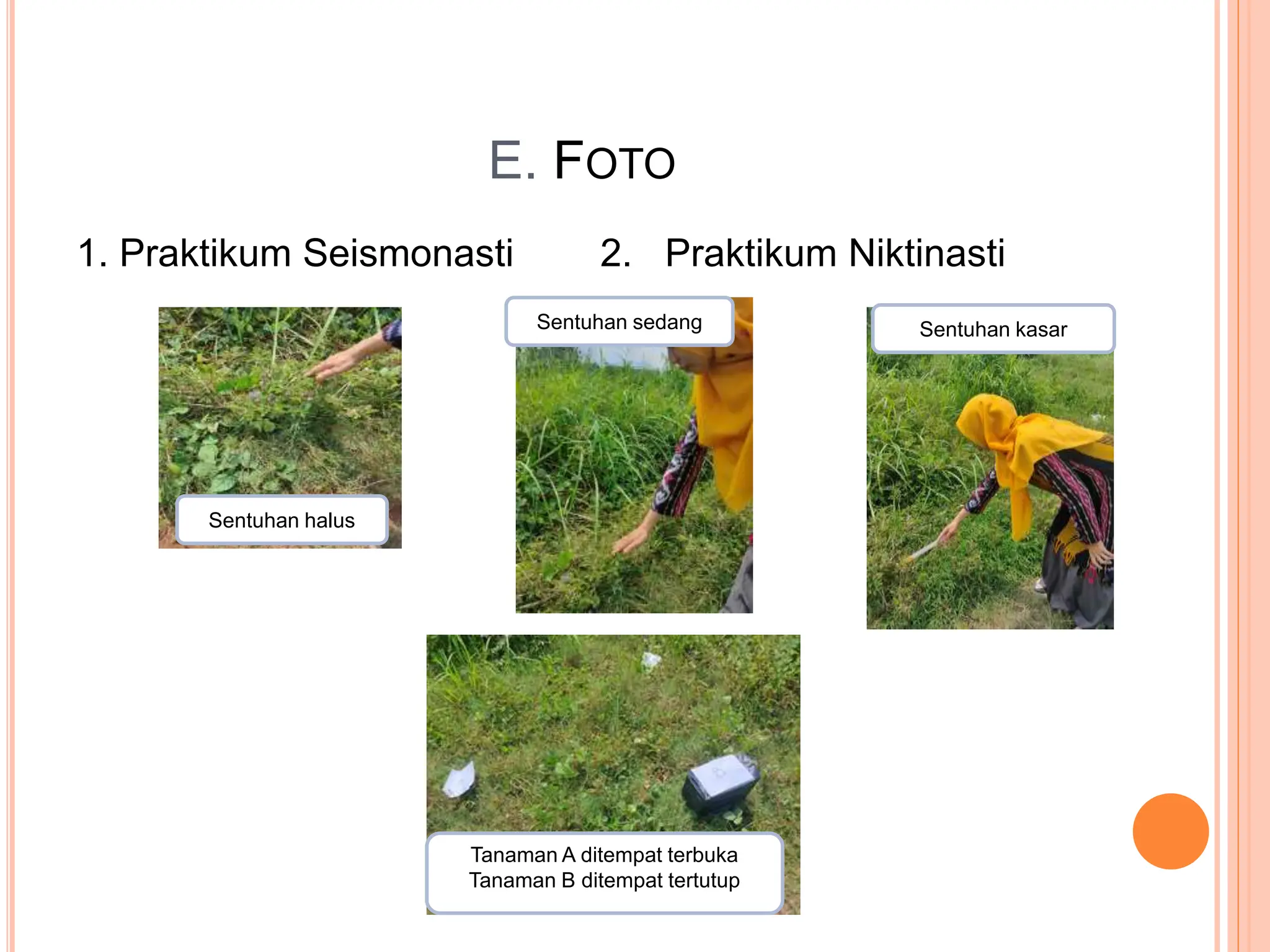 KELOMPOK 1 PRAKTIKUM IPA DI SD_GERAK PADA TUMBUHAN.pptx